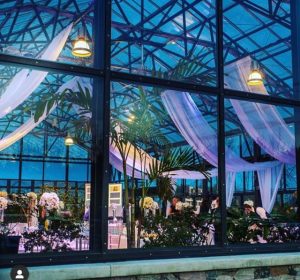 Aquatopia Water Garden Conservatory - Ontario Wedding Network